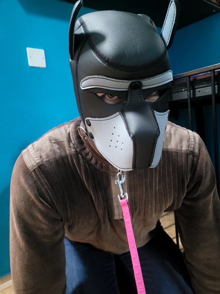 Hračky na dogplay | profidominy.cz